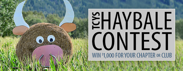 Hay Bale Contest